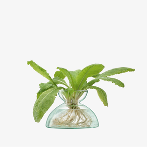 Canopy Vase