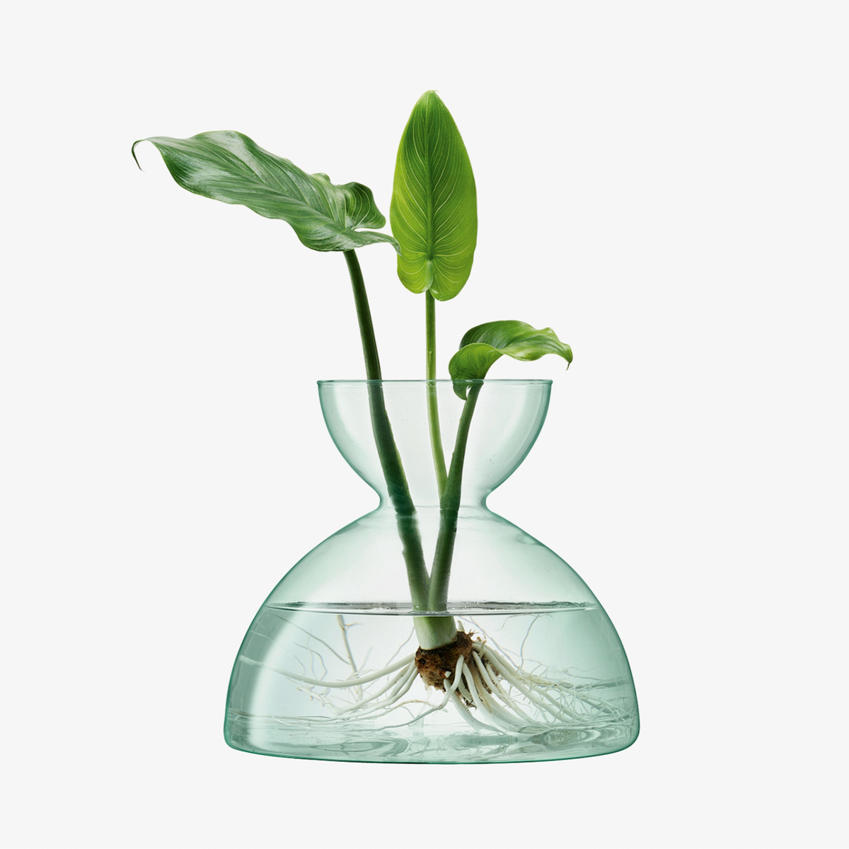 Canopy Vase