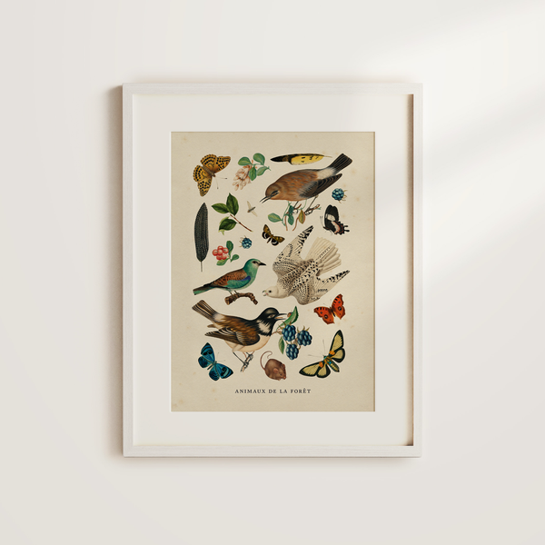 Birds and Insects Art Print – Vintage Botanical Wall Art
